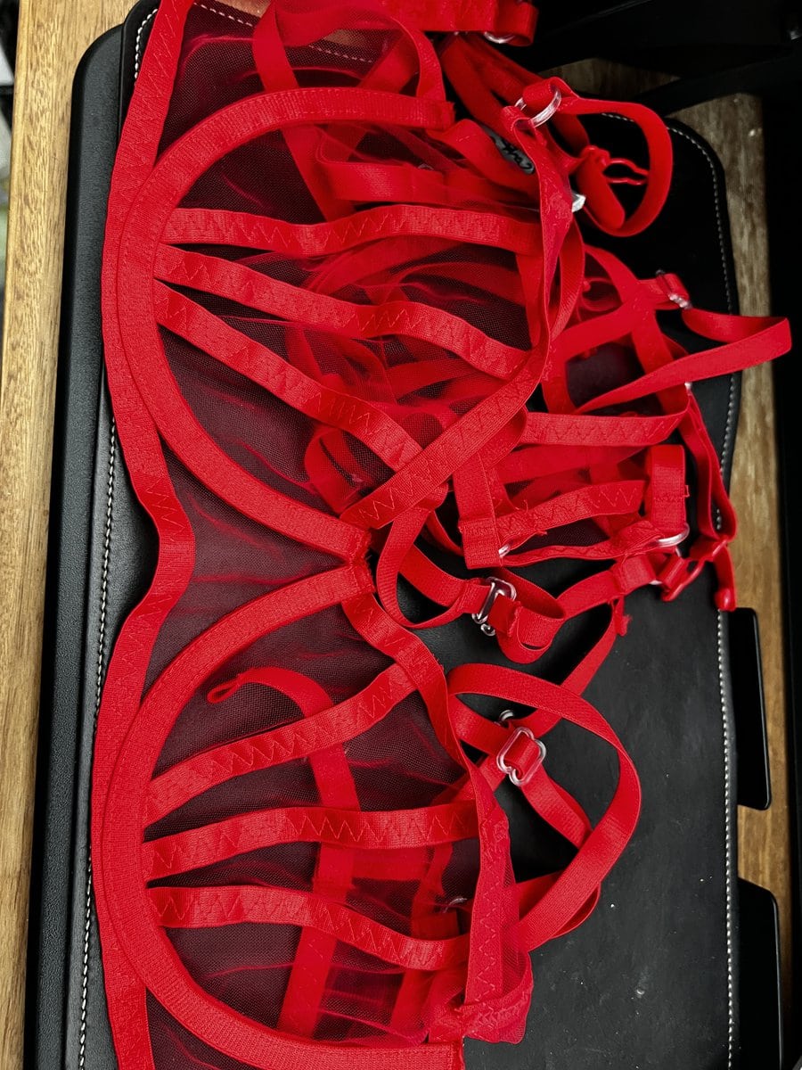 Clothing :: Red Bra, Panty and Garter from Skylar Snow OF scene with ...